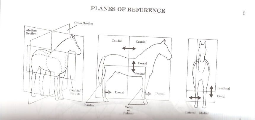 directionnalterms-1.jpg Photo by cloe_lacroix | Photobucket