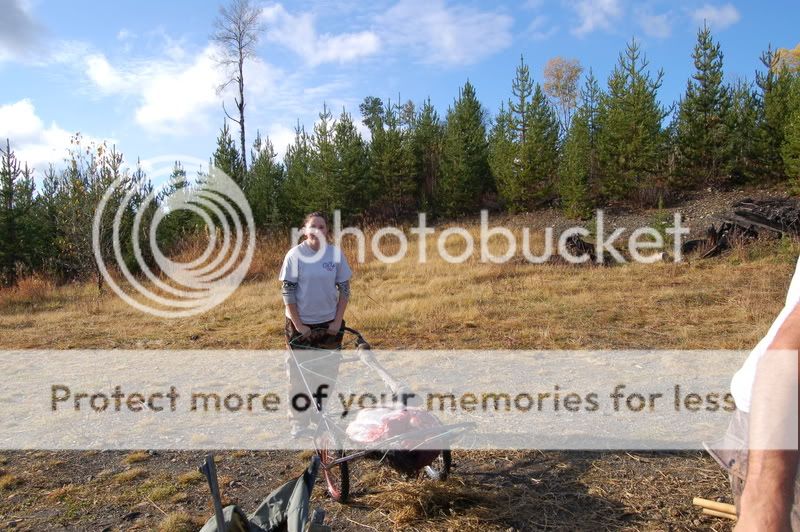 Advice on a game cart?