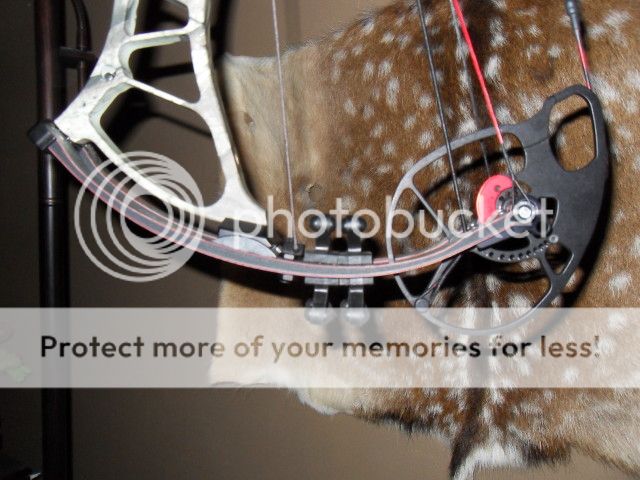 BOWJAX for BOWTECH Insanity? | Archery Talk Forum