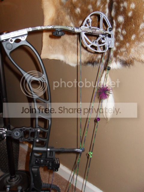 My 2012 G5 Prime Centroid is now all complete!! | Archery Talk Forum