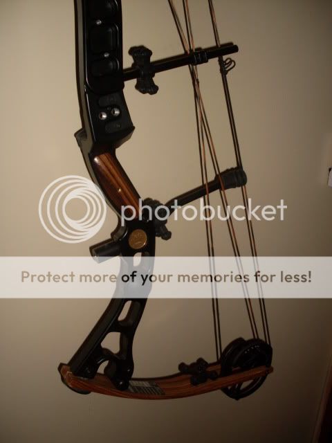 08 29/45-60 Custom Martin Firecat Pro -black/Barnsdale wood coreflex ...