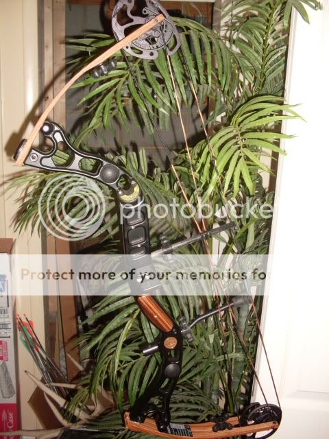 08 29/45-60 Custom Martin Firecat Pro -black/Barnsdale wood coreflex ...