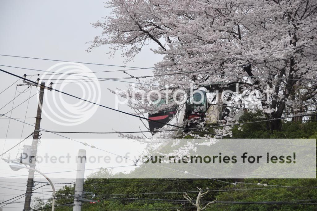 Asuka Park Rail AKA Asuka-Yama Monorail - Japan Rail: Pictures & Videos ...